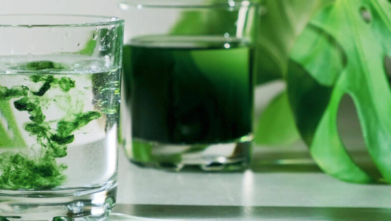 Chlorofil - Właściwości Działanie Zastosowanie Efekty - Zielares