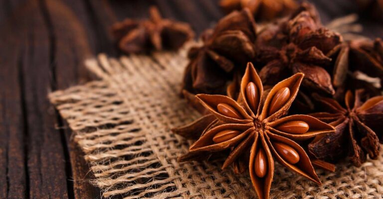 Anyż - Właściwości Zastosowanie i Działanie - Zielares