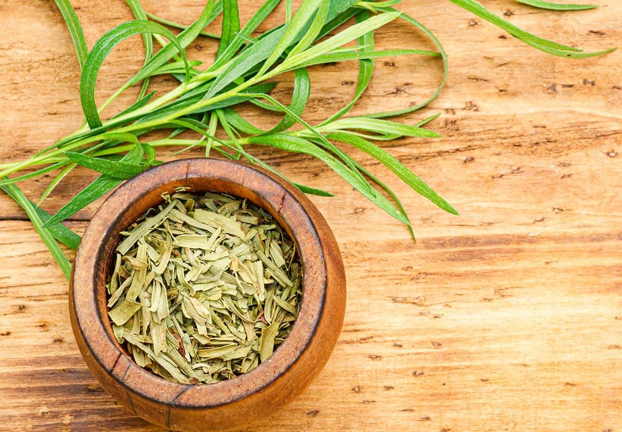 Estragon - Właściwości Zastosowanie Przeciwwskazania - Zielares