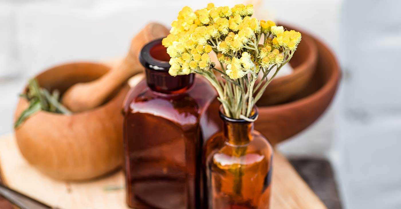 Kocanka piaskowa - Właściwości Zastosowanie i Jak stosować - Zielares