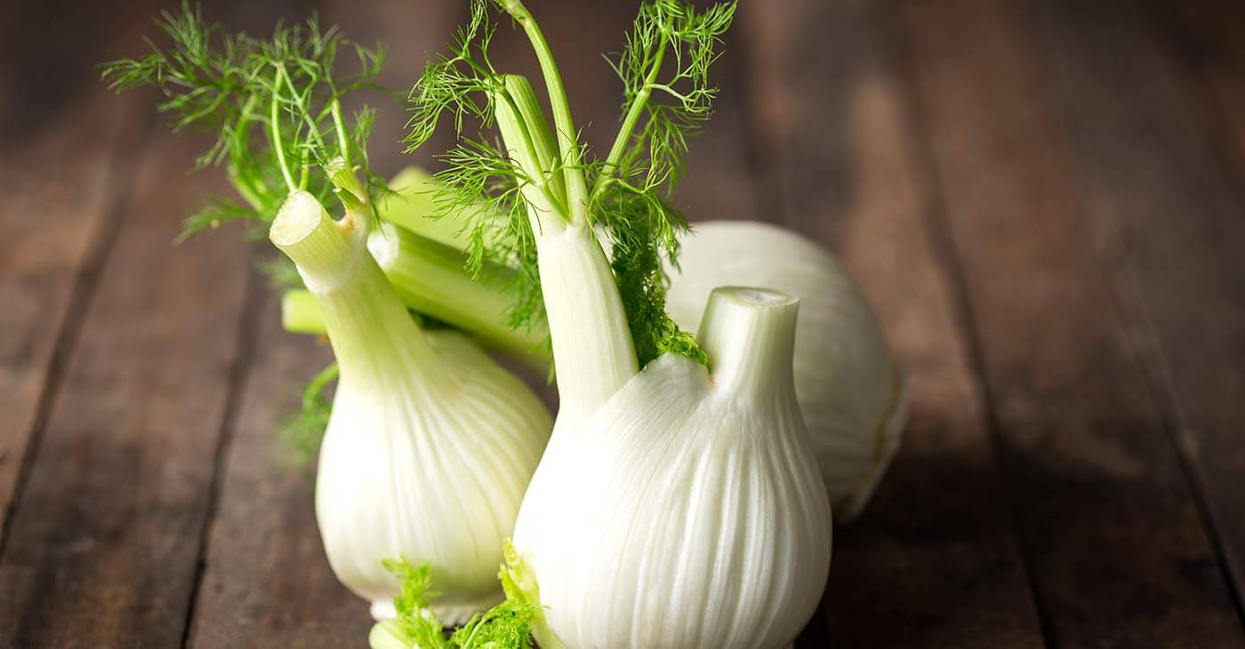 Koper włoski - Działanie Właściwości i Zastosowanie - Zielares