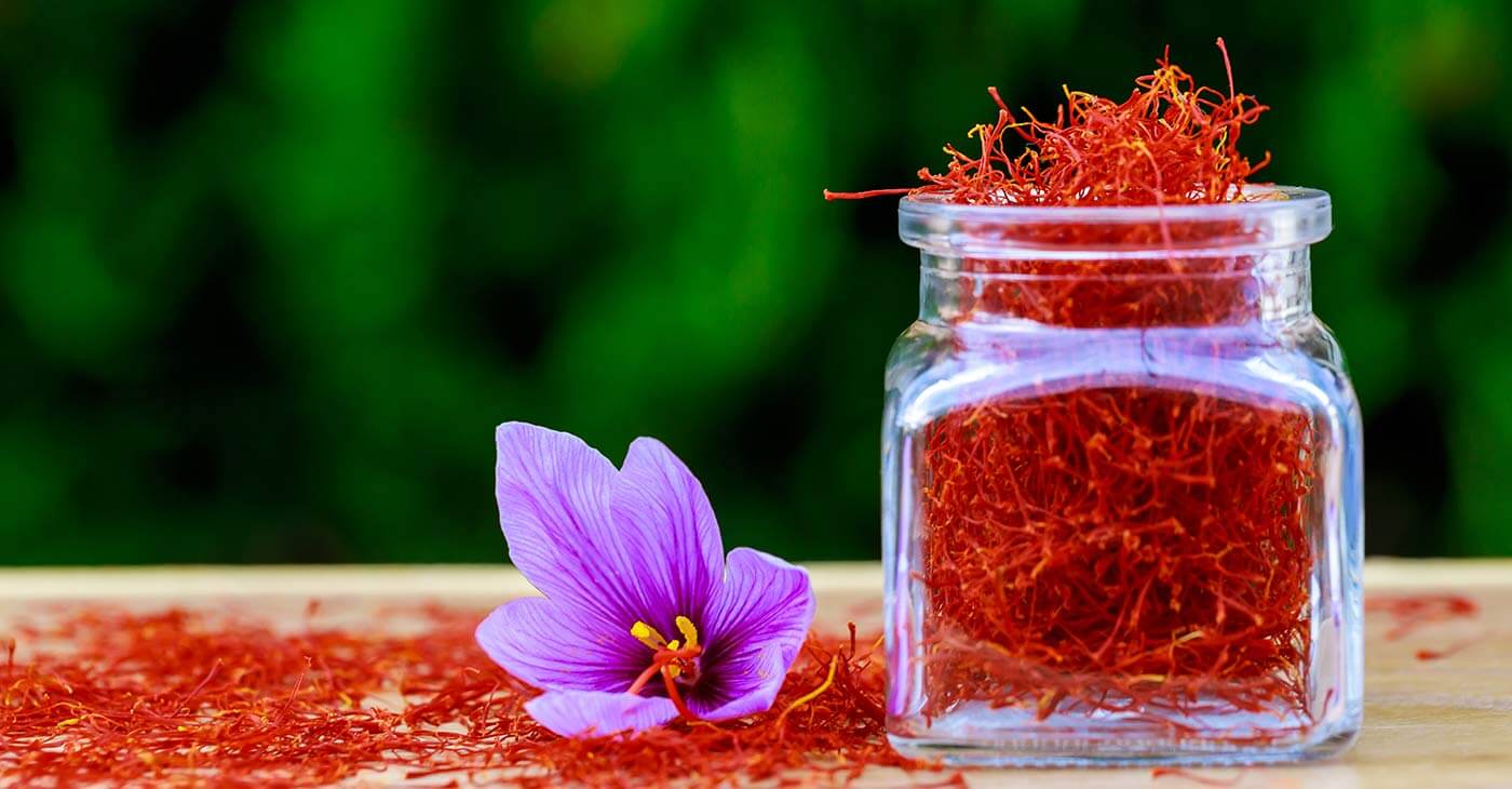 Szafran - Właściwości Zastosowanie i Działanie - Zielares