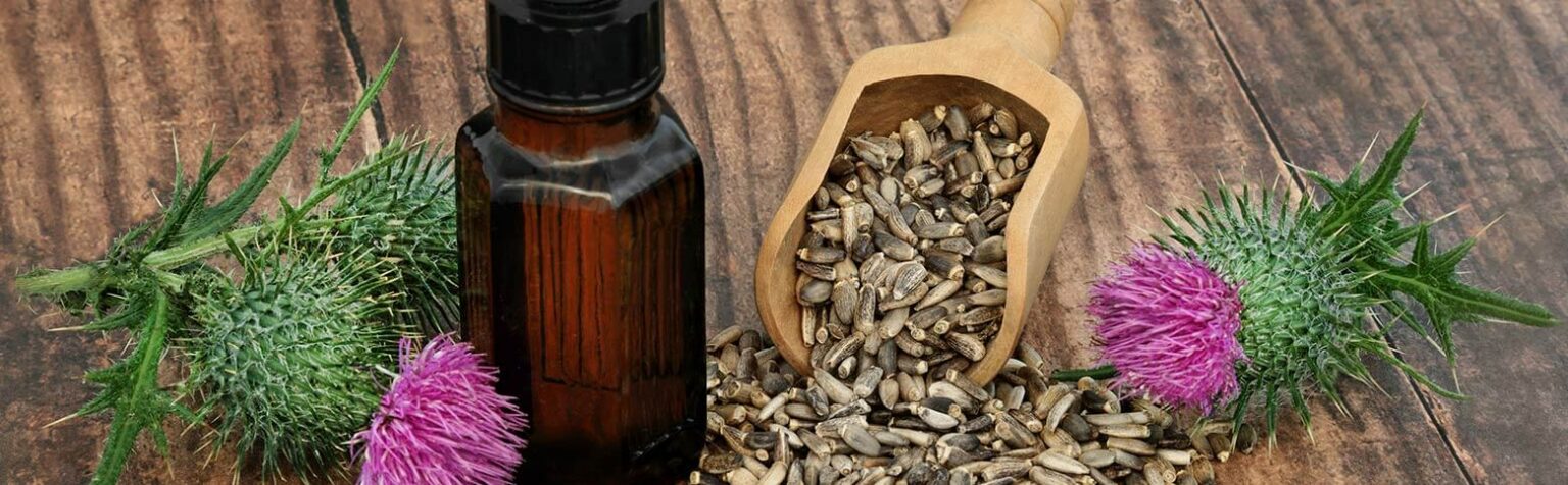 Olej z krokosza - Zastosowanie i Przeciwwskazania - Zielares