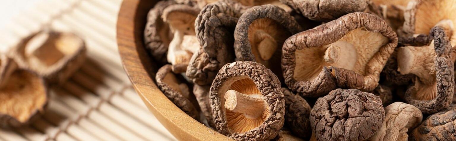 Grzyby shiitake - Właściwości Działanie Przeciwwskazania - Zielares