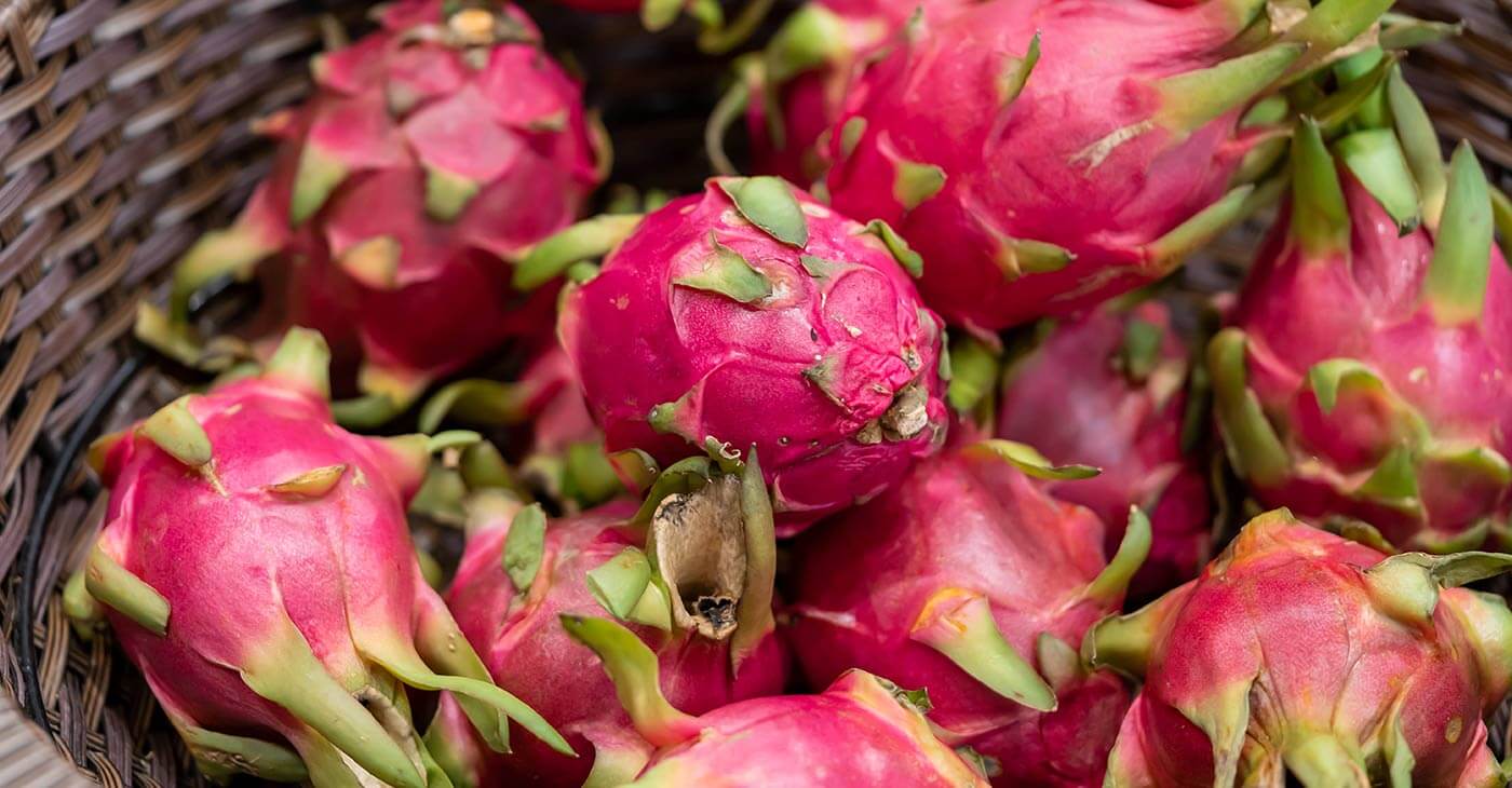 Pitaja - Właściwości zdrowotne Wartości odżywcze Zastosowanie - Zielares