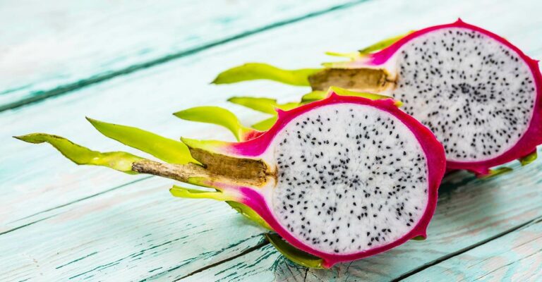 Pitaja - Właściwości zdrowotne Wartości odżywcze Zastosowanie - Zielares