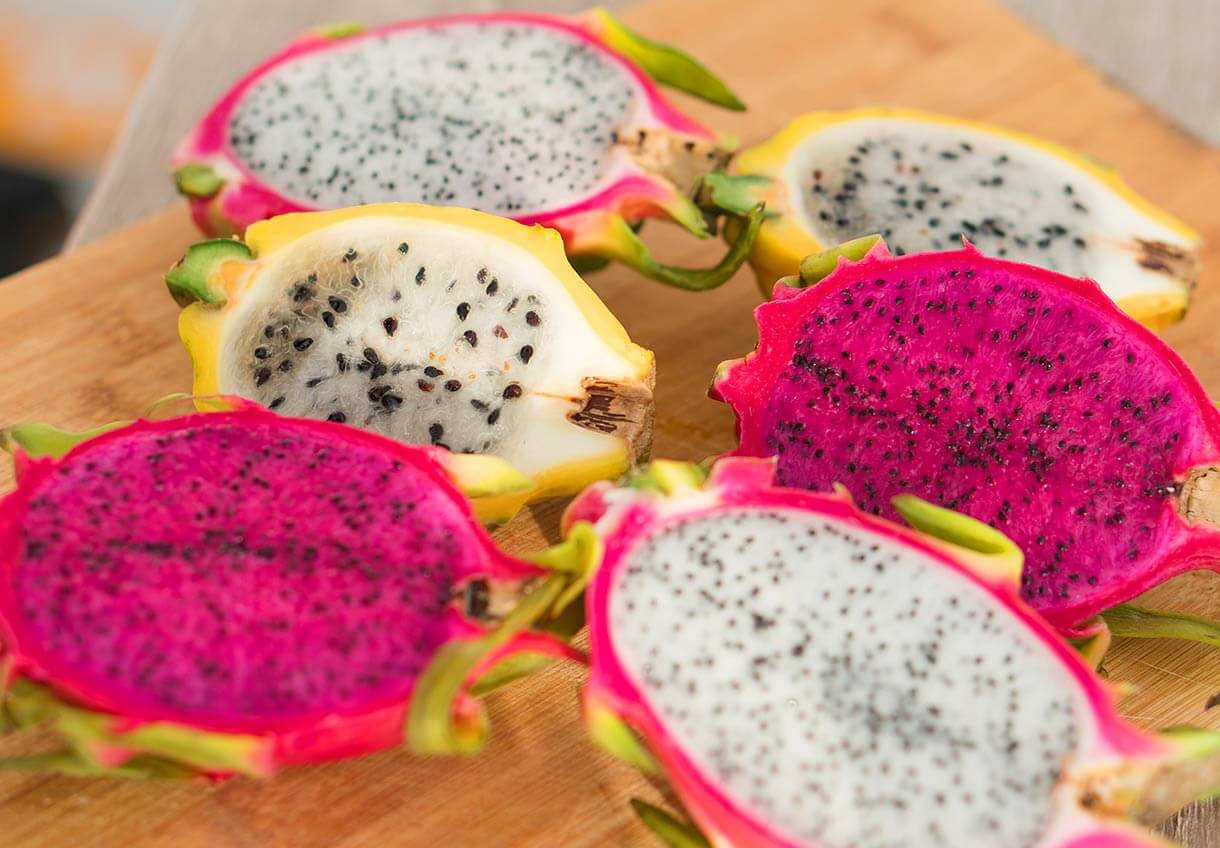 Pitaja - Właściwości zdrowotne Wartości odżywcze Zastosowanie - Zielares
