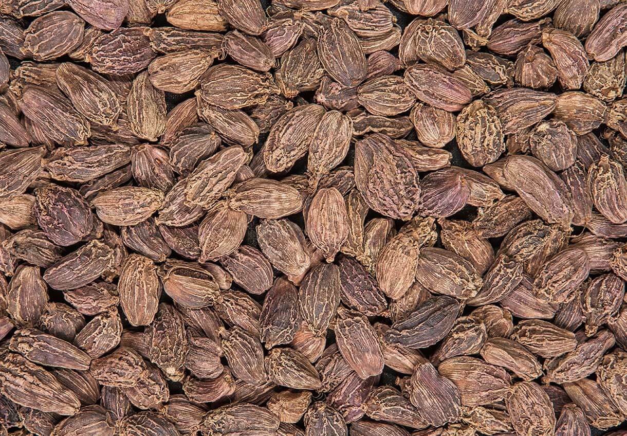 Kardamon - Właściwości Działanie i Zastosowanie - Zielares