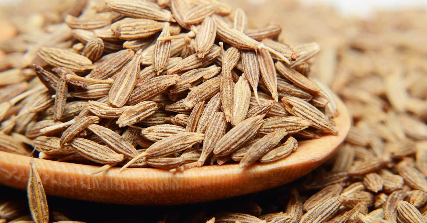 Kumin - Właściwości Działanie Zastosowanie - Zielares