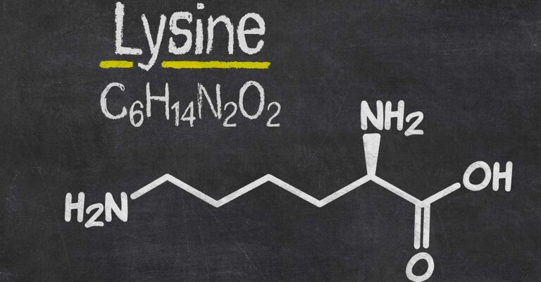 Lizyna - Działanie Skutki uboczne Właściwości - Zielares