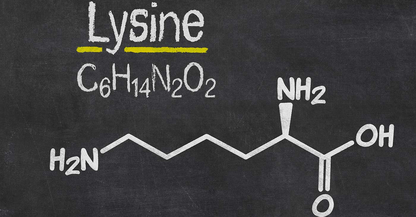 Lizyna - Działanie Skutki uboczne Właściwości - Zielares
