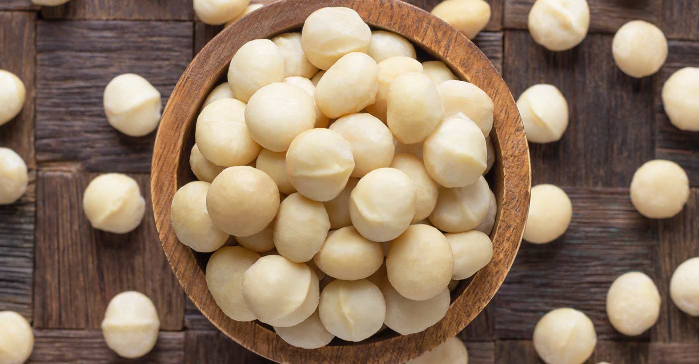 Orzechy makadamia - Właściwości Zastosowanie i Działanie - Zielares