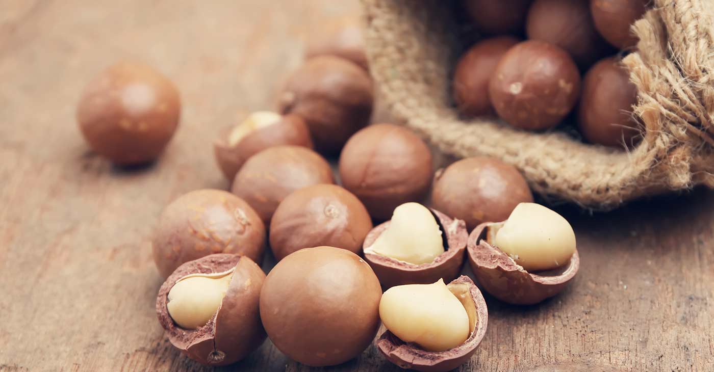 Orzechy makadamia - Właściwości Zastosowanie i Działanie - Zielares