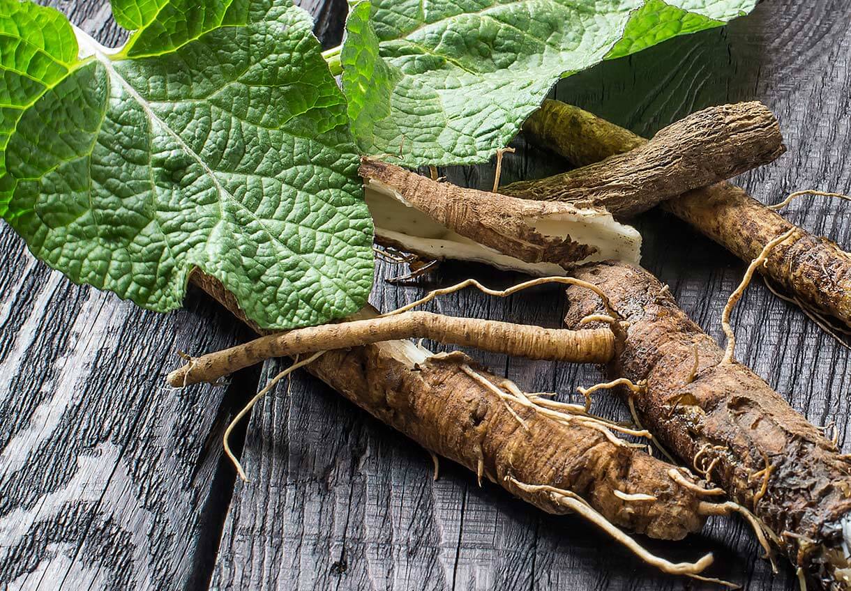 Jakie skuteczne zioła na torbiele w piersiach stosować? - Zielares