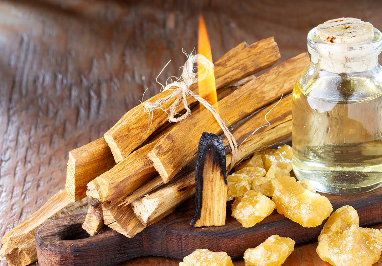 Palo Santo - Właściwości Działanie Zastosowanie Dlaczego warto - Zielares