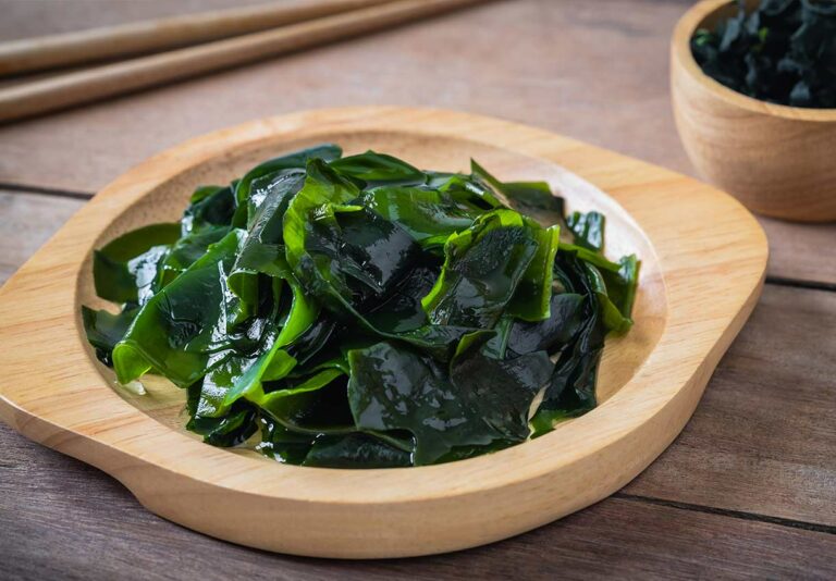 Algi morskie - Właściwości Działanie Jak jeść Przeciwwskazania - Zielares