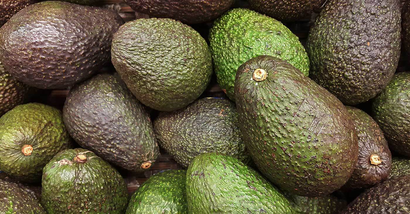 Awokado - Właściwości Przeciwwskazania Zastosowanie - Zielares