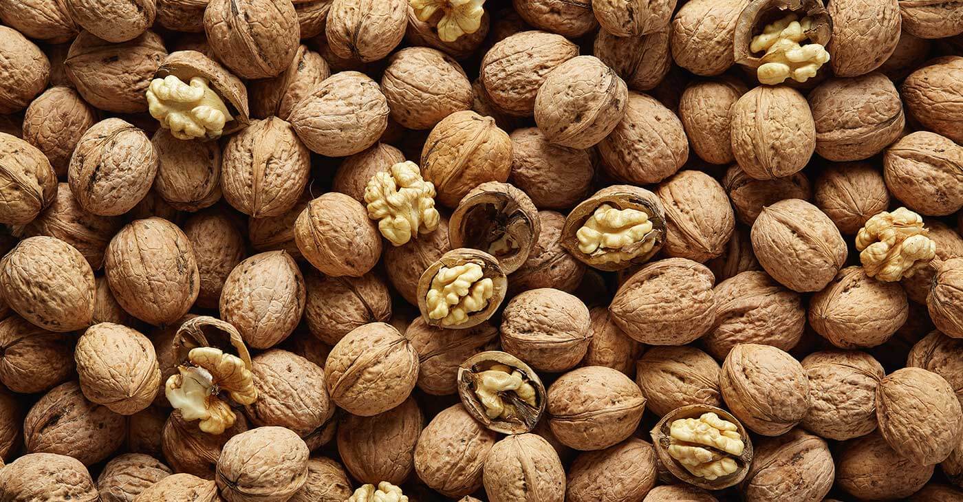 Orzechy włoskie - Właściwości i Przeciwwskazania - Zielares