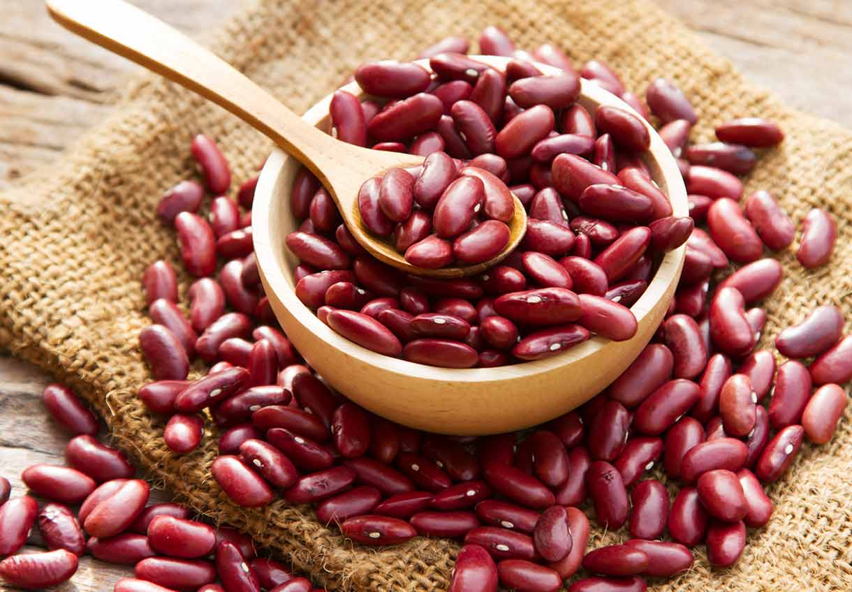 Fasola - Właściwości i Jaka jest najzdrowsza? - Zielares