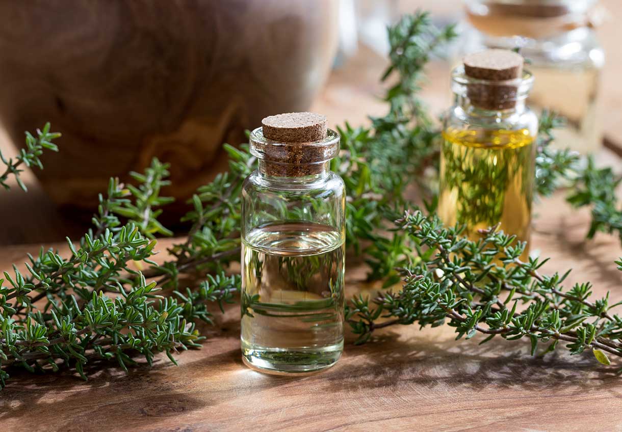 Olejek tymiankowy - Jak stosować? Właściwości i zastosowanie