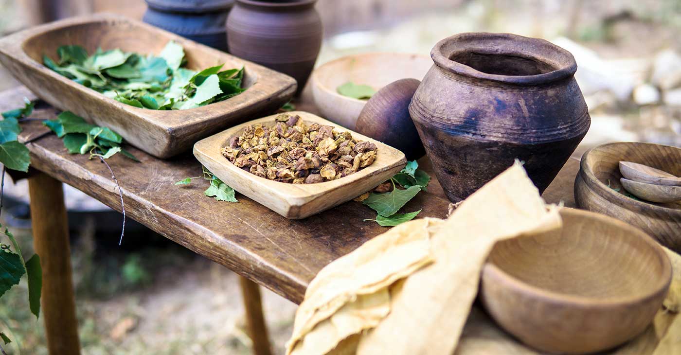 Nasiadówka z kory dębu - Jak działa i Jak ją zrobić - Przepis - Zielares