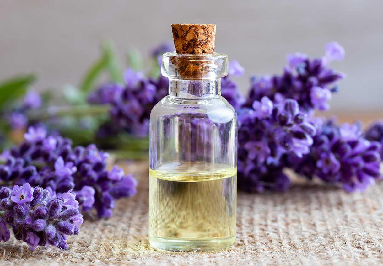 Olejek lawendowy - Zastosowanie i Jak go stosować - Zielares