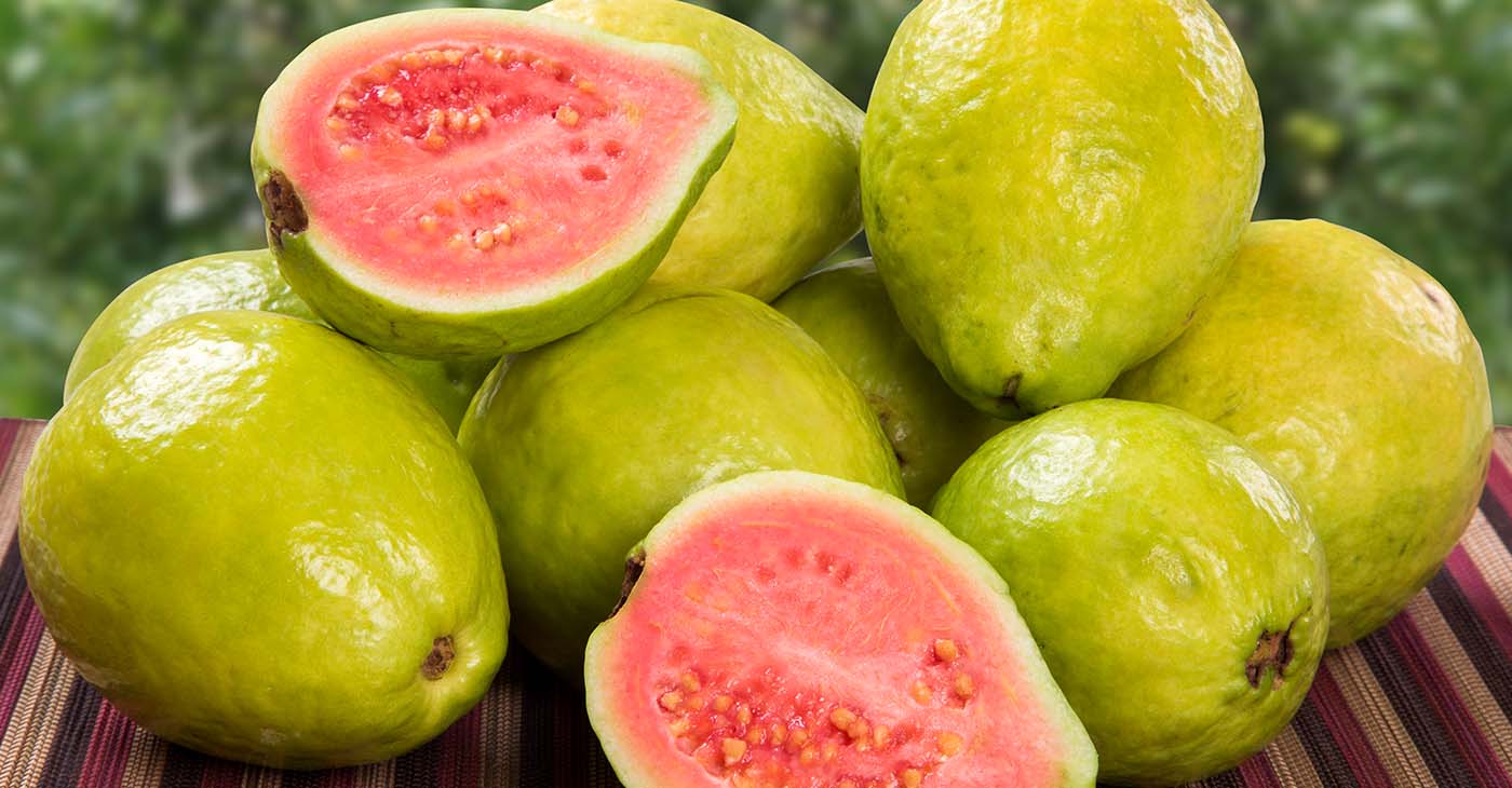 Guawa - Działanie Jak jeść Właściwości - Zielares