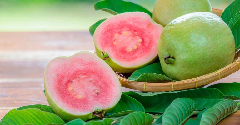 Guawa - Działanie Jak jeść Właściwości - Zielares