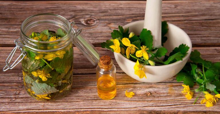 Jaskółcze ziele na kurzajki - Czy pomoże? Jak stosować? - Zielares