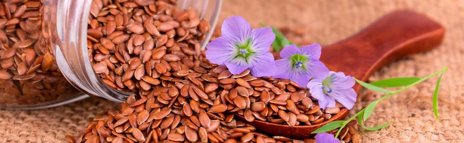 Barwnik koszenila (E120) – Co to jest? Czy jest szkodliwy? - Zielares