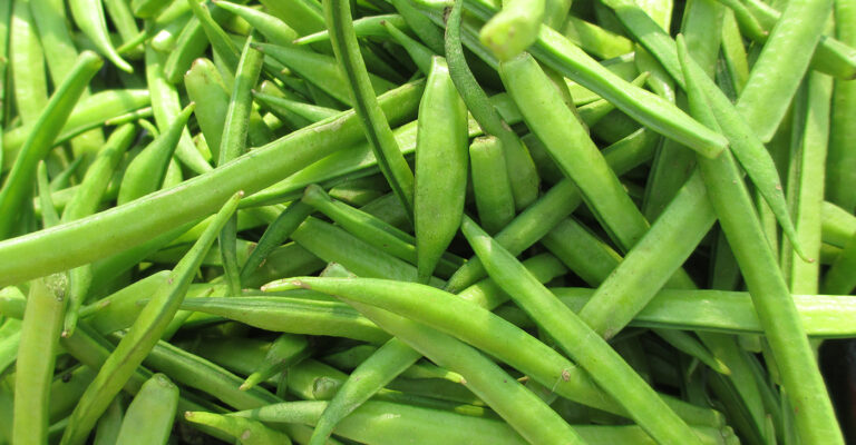 Co to jest Guma Guar? - Szkodliwość E412 - Zielares