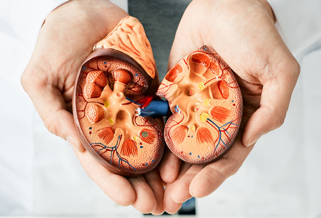 Jak złagodzić ból nerek? - 9 domowych sposobów - Zielares